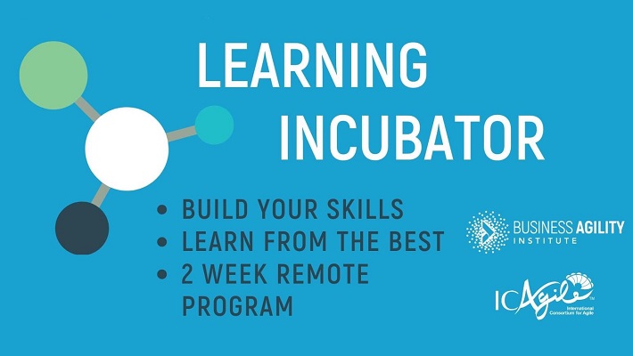 Learning Incubator
